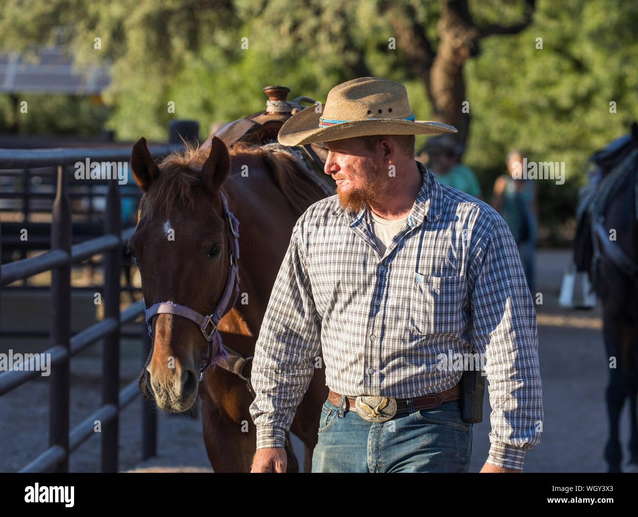 White Stallion Ranch, Tucson, Arizona Stock Photo - Alamy
