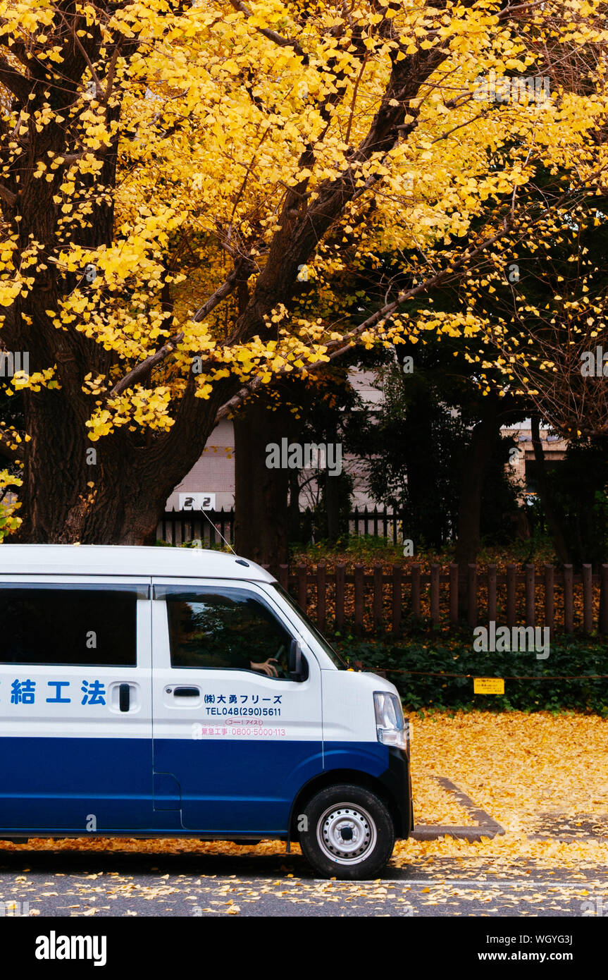 DEC 5, 2018 Tokyo, Japan - Tokyo cute Japanese van car parking under ...