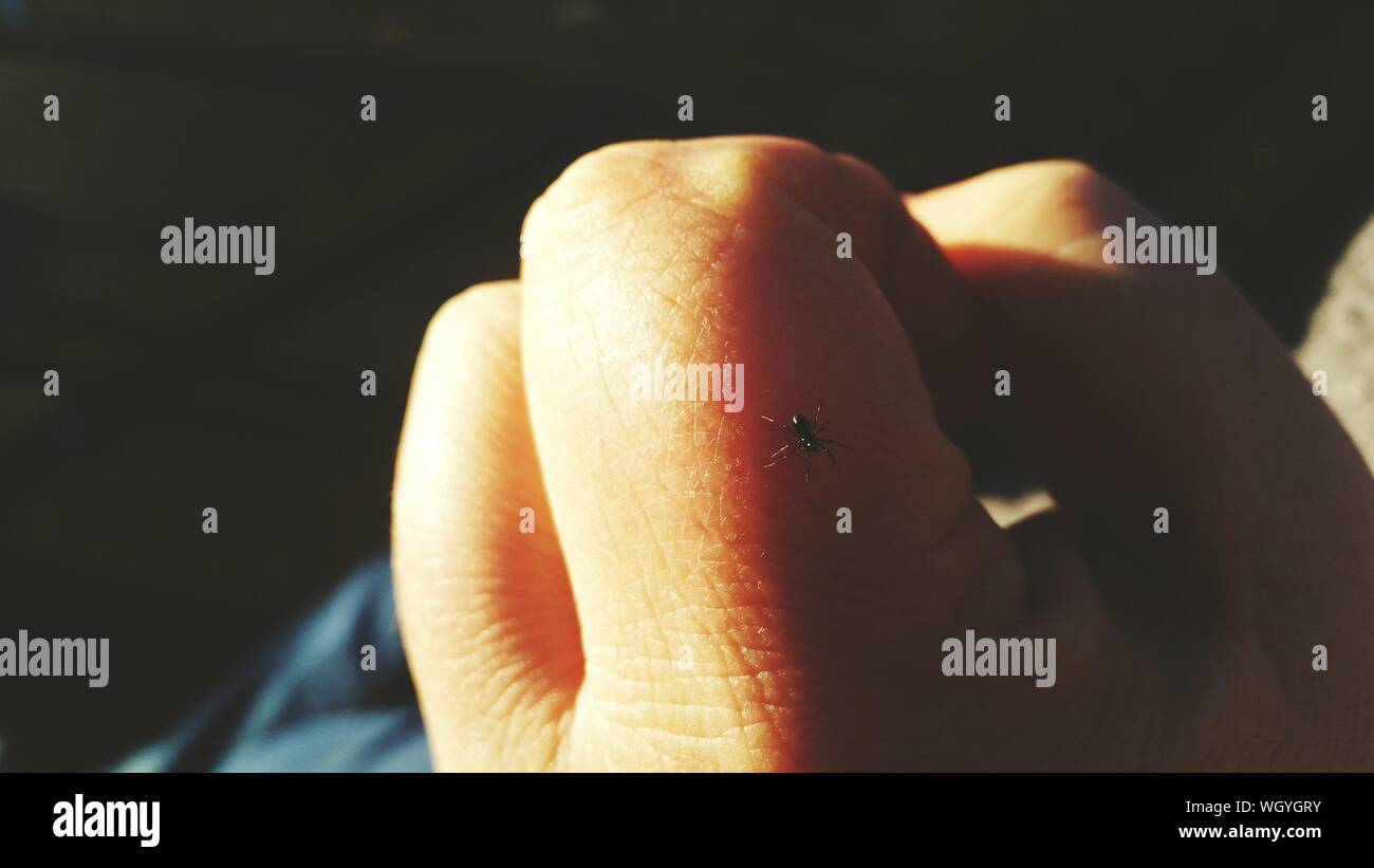 Human spider hi-res stock photography and images - Alamy