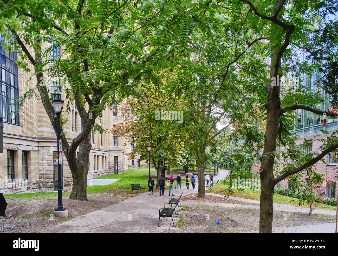 University of Toronto Stock Photo - Alamy
