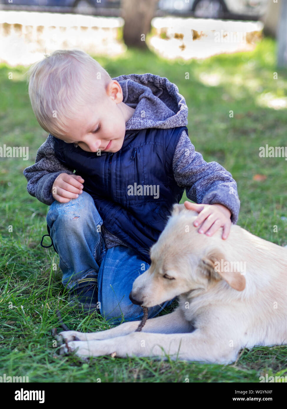 Boy playing with dog hi-res stock photography and images - Alamy