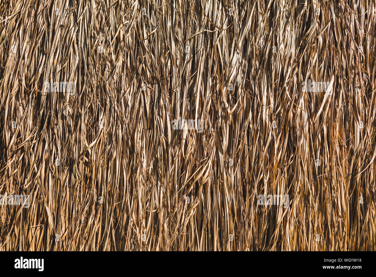 Hay texture. Background of tropical building roof, eco construction ...