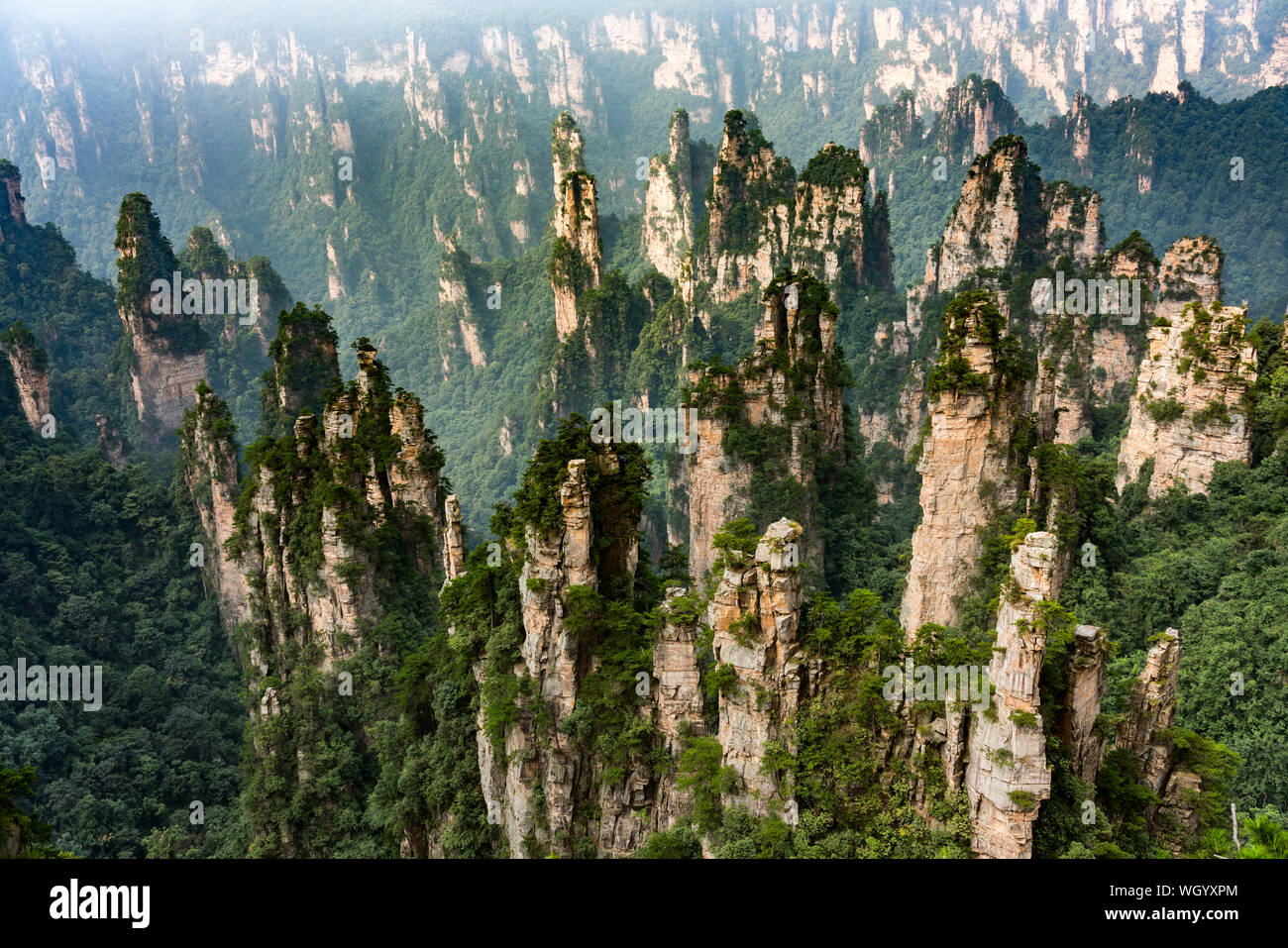 Natural rock formations in Zhangzhijaje National Park, China Stock ...