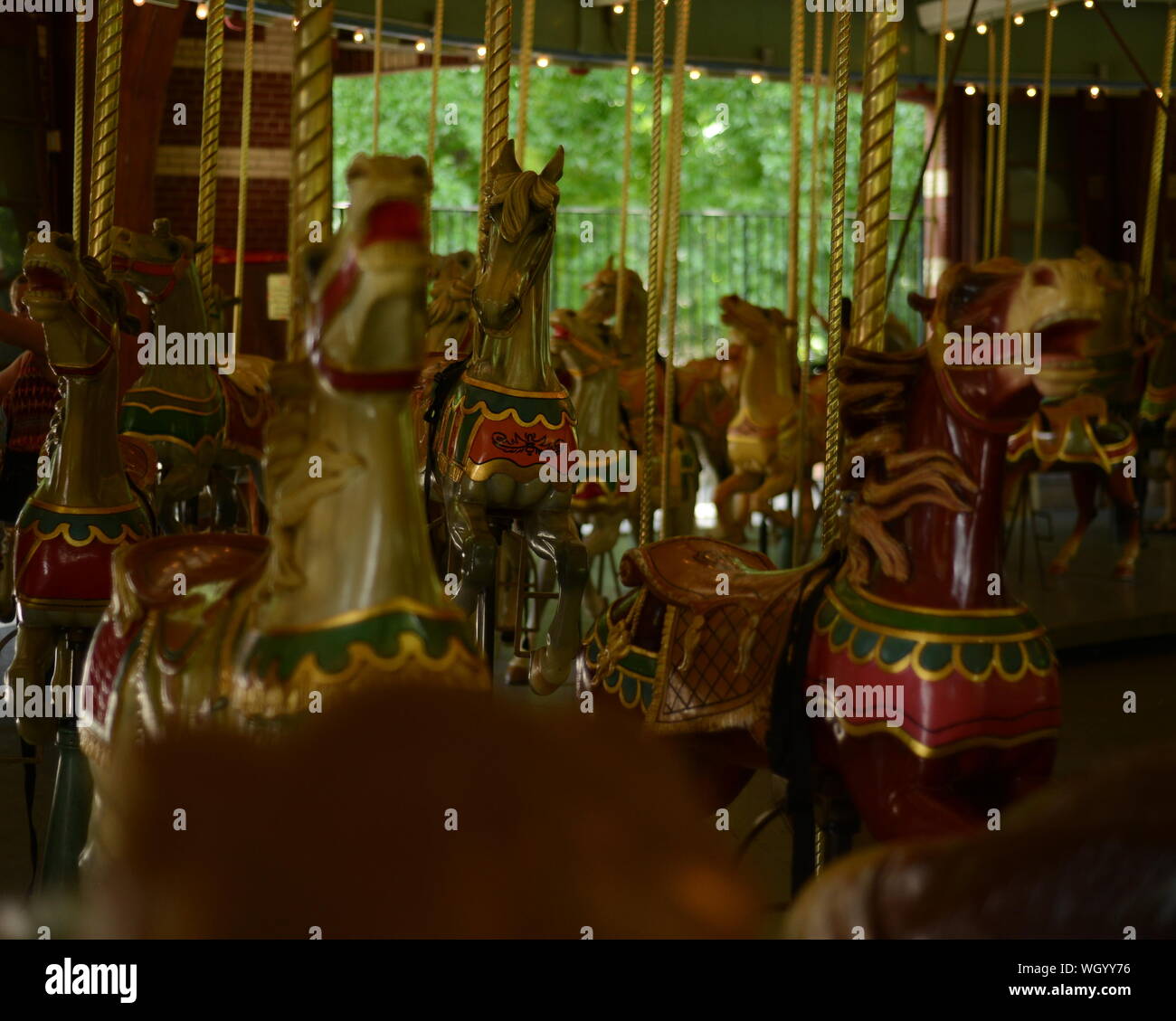 Carousel Animals High Resolution Stock Photography and Images - Alamy