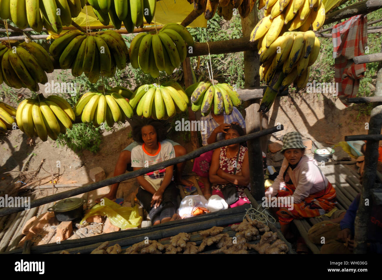 Bananas and ginger for sale at roadside stall, RN2 between Moramanga ...