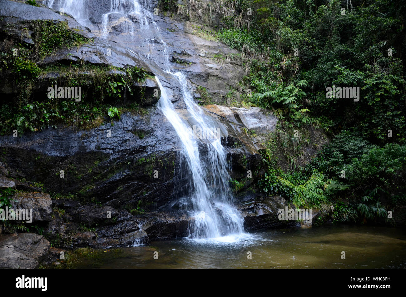 Rocks rainforest hi-res stock photography and images - Alamy