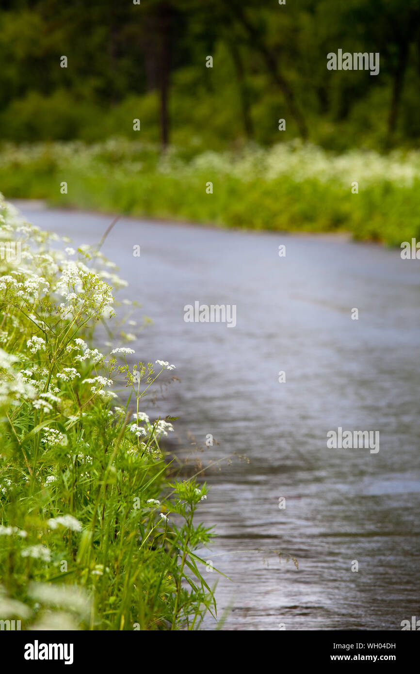 Water flowing river plants nature hi-res stock photography and images ...