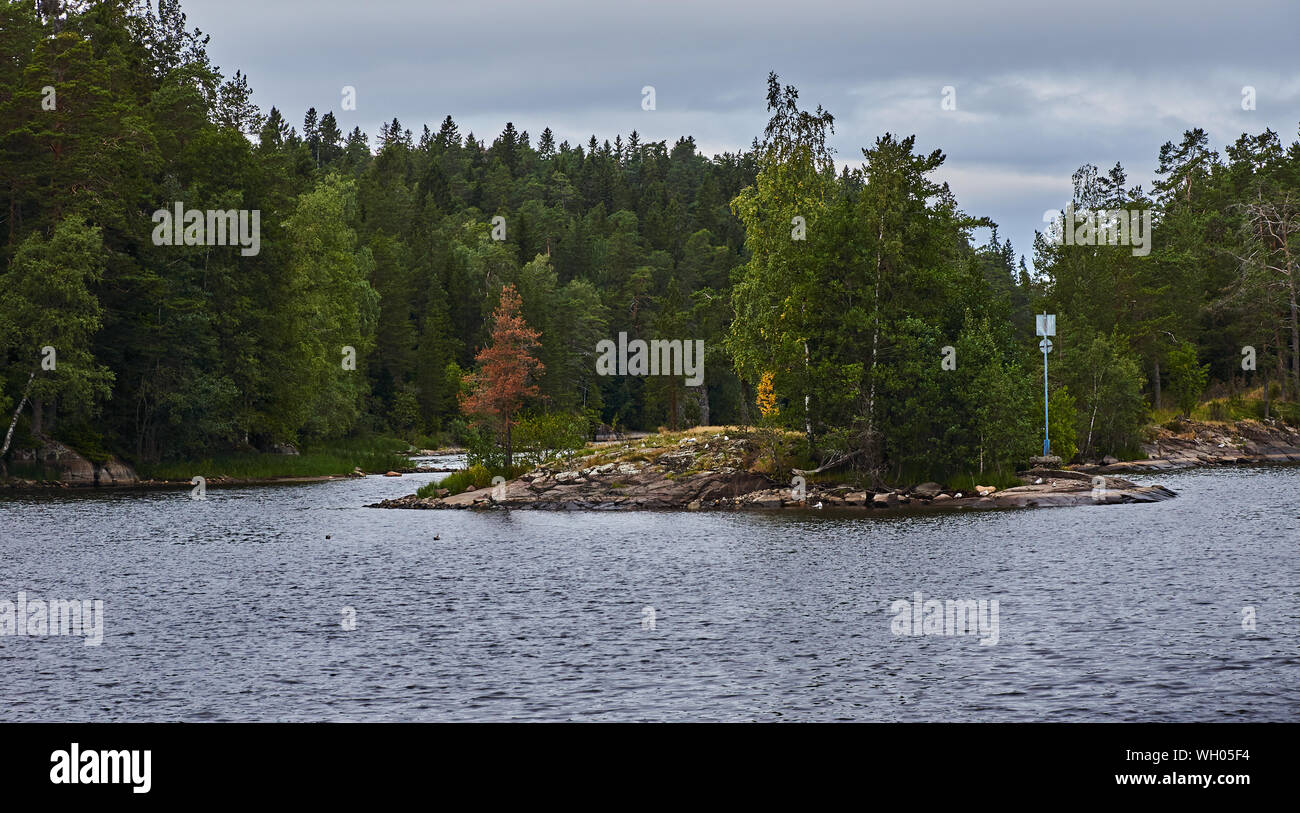 Typical Karelian landscape on the island of Valaam: forest of conifers ...