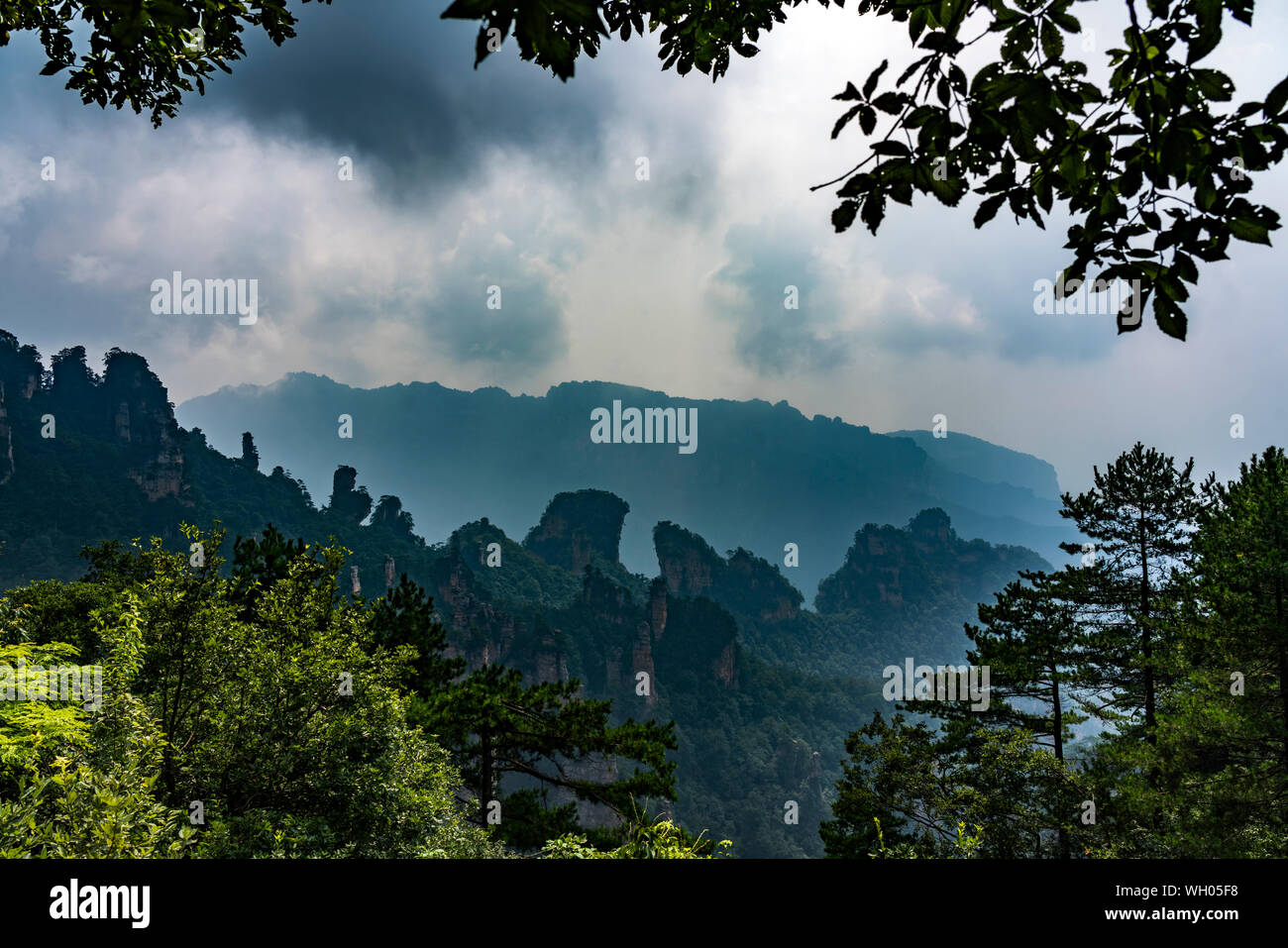 Natural rock formations in Zhangzhijaje National Park, China Stock ...