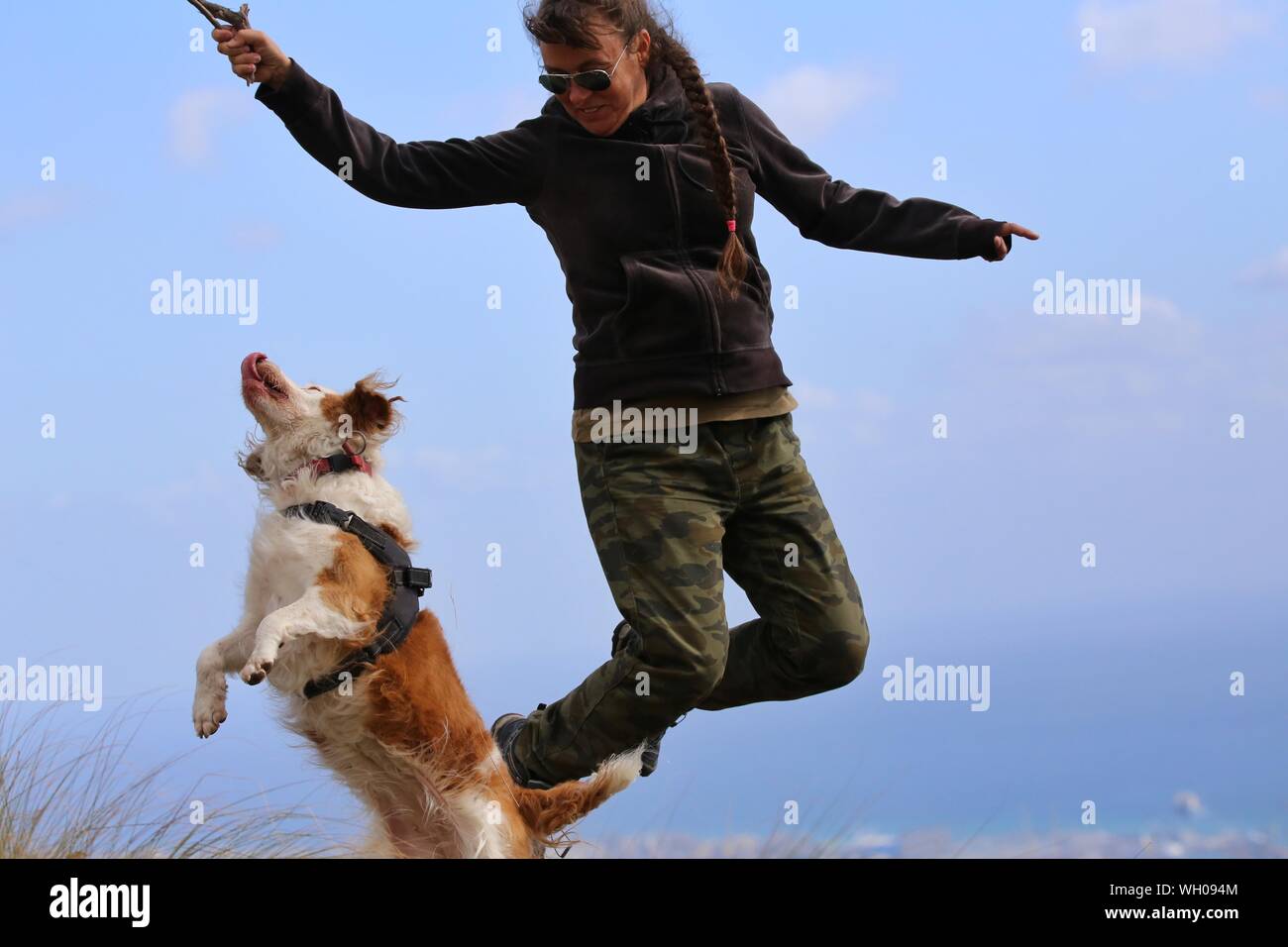 Jumping dog hi-res stock photography and images - Alamy