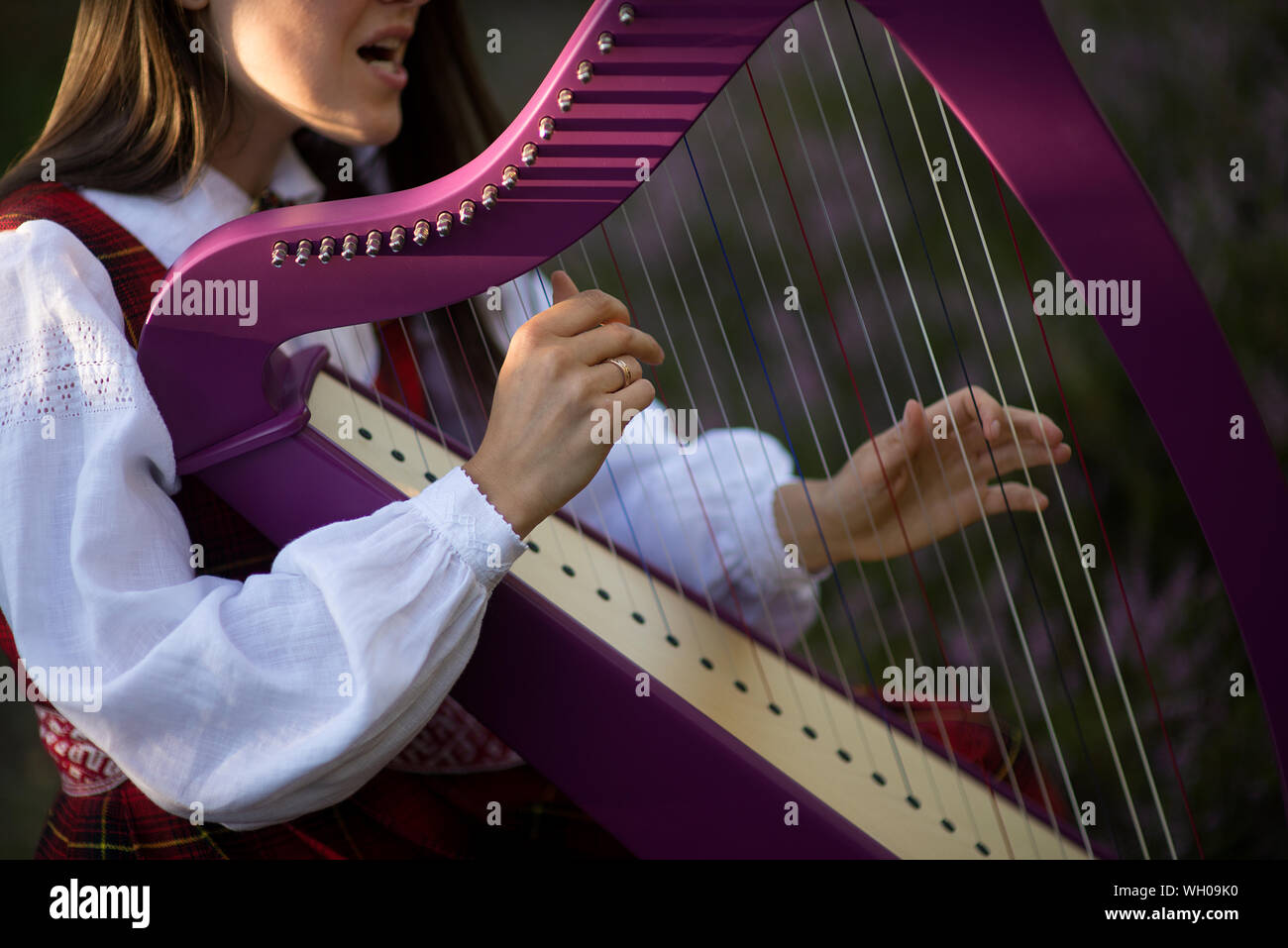 Playing celtic harp hi-res stock photography and images - Alamy