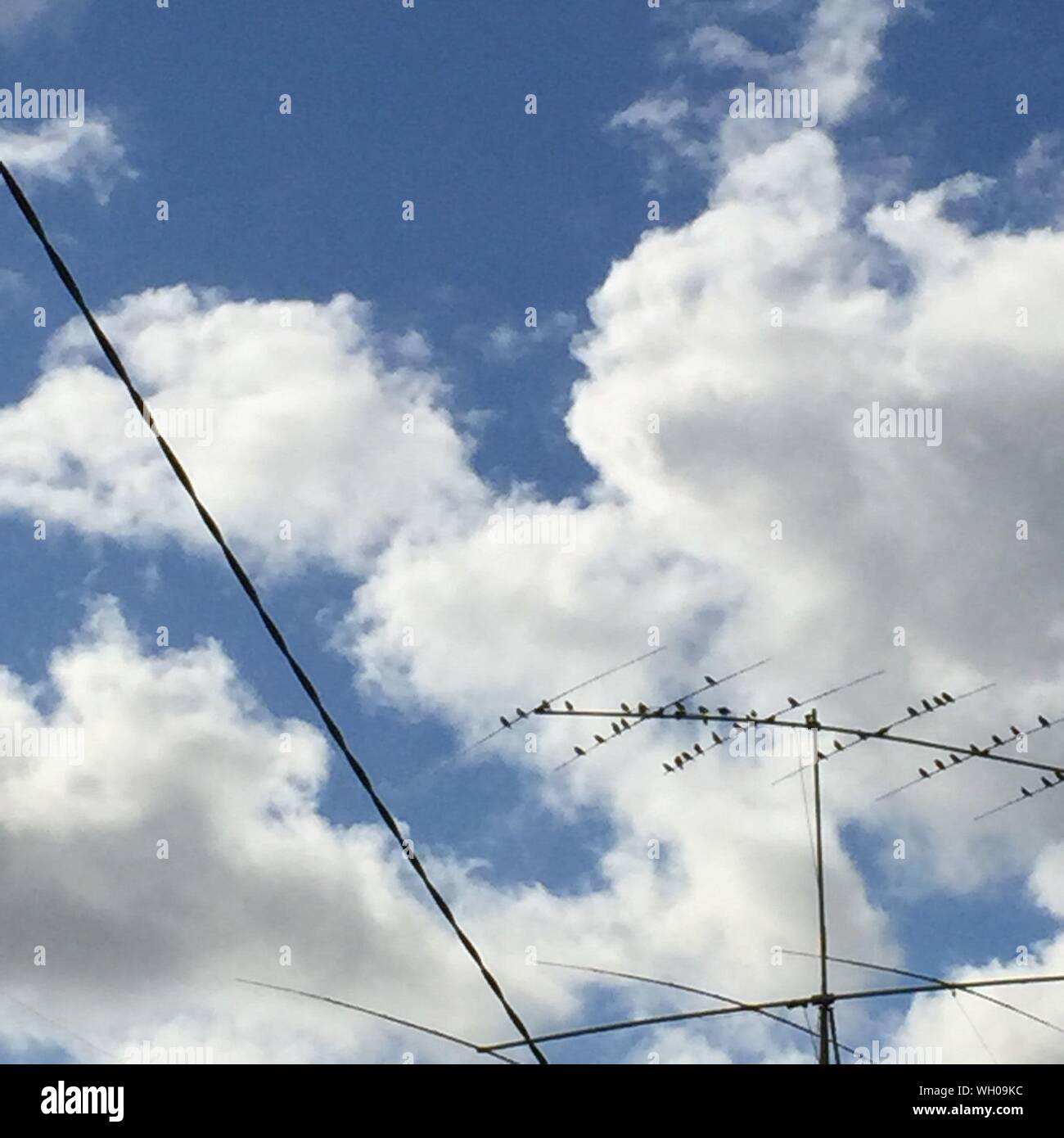 Cable antenna hi-res stock photography and images - Alamy