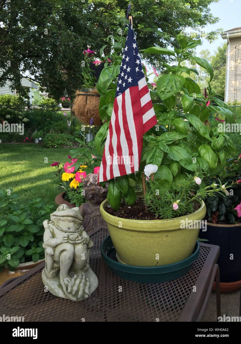 Plants flag hi-res stock photography and images - Alamy