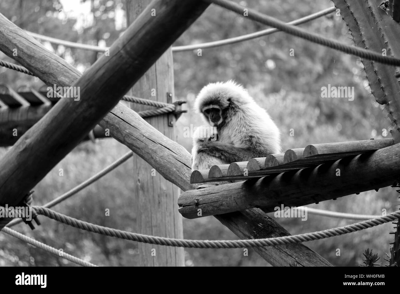 Zoo Structure High Resolution Stock Photography and Images - Alamy