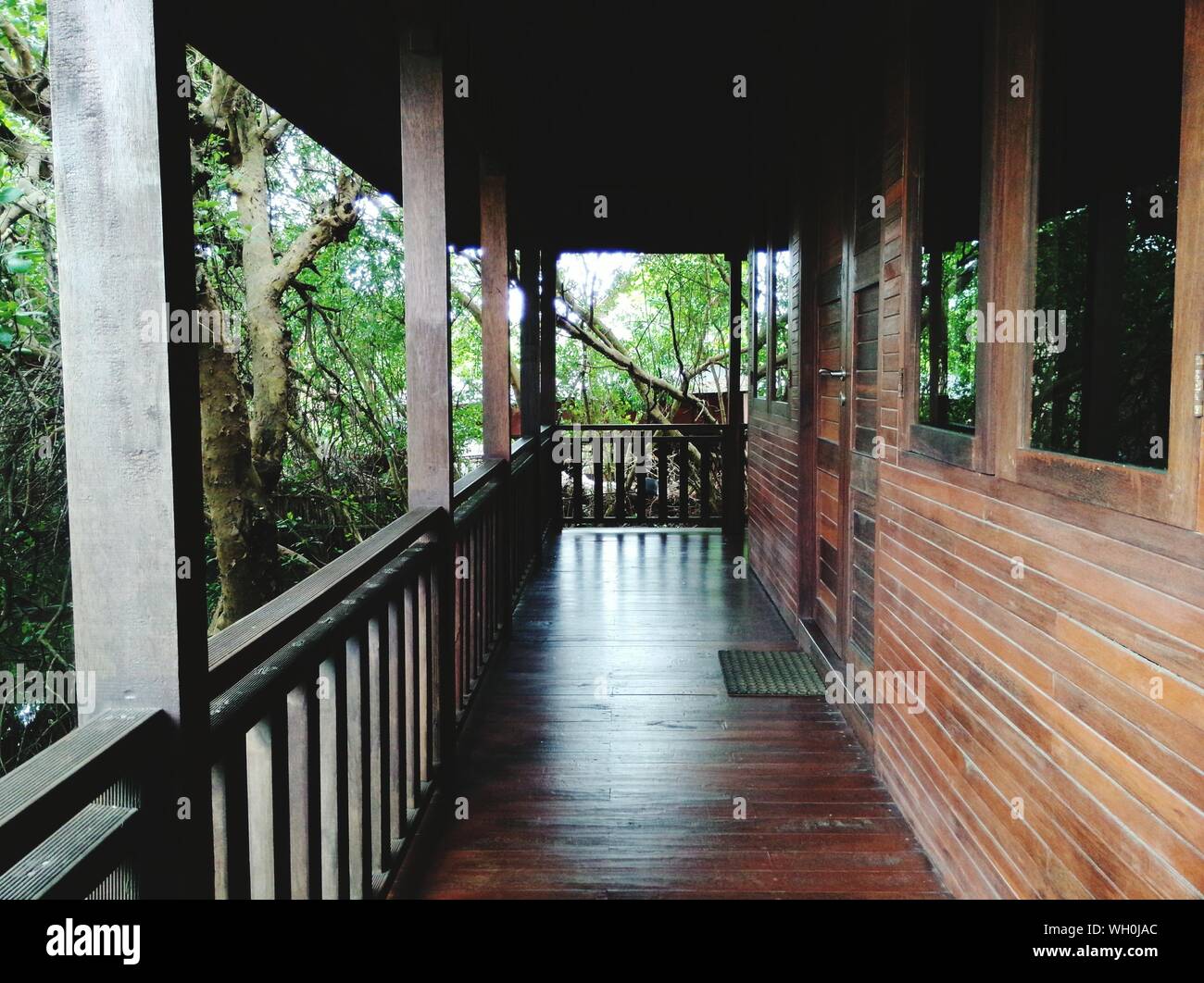 Hardwood forest with cabin hi-res stock photography and images - Alamy