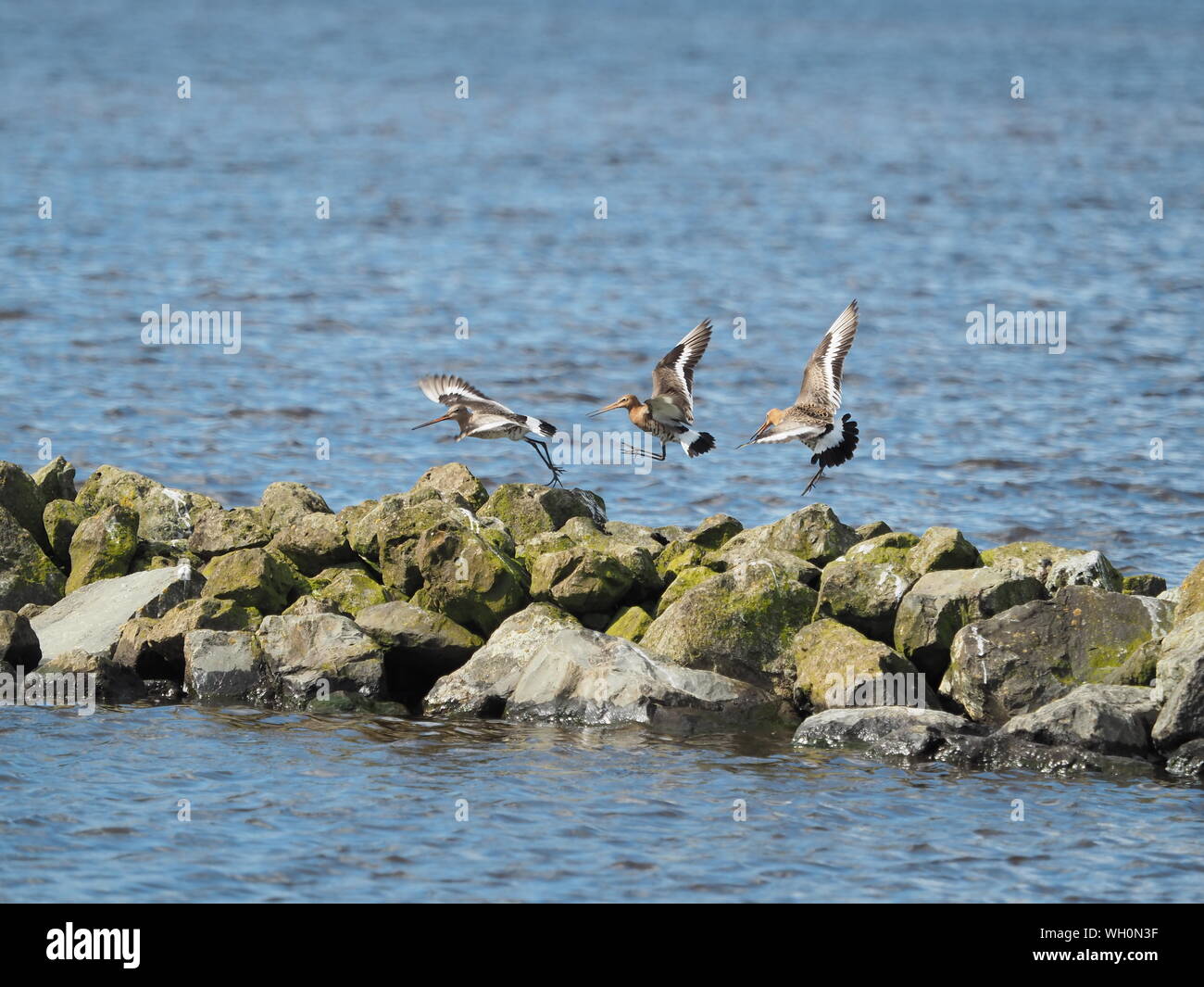 Flying Rocks In The Air High Resolution Stock Photography and Images ...