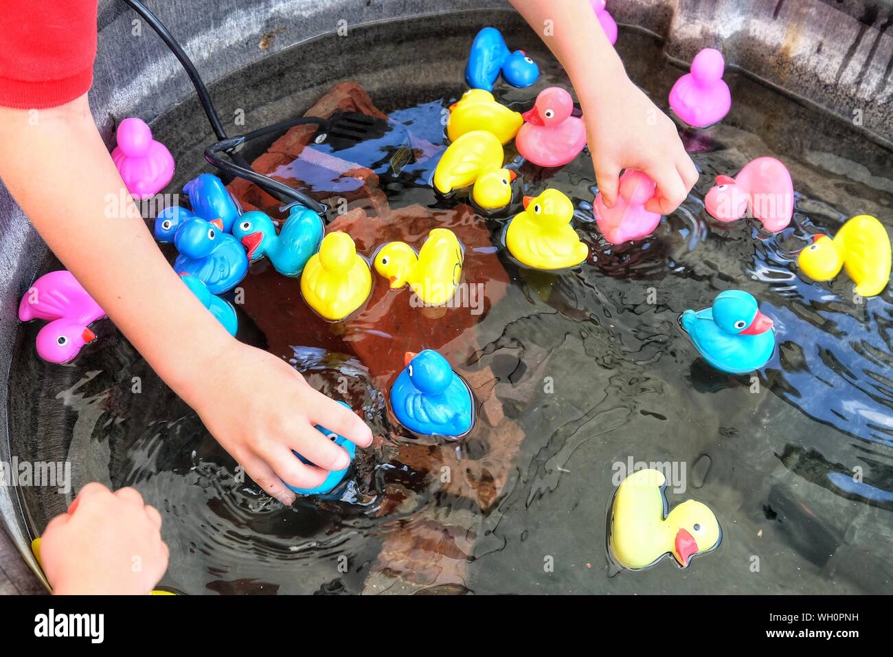Duck playing hi-res stock photography and images - Alamy