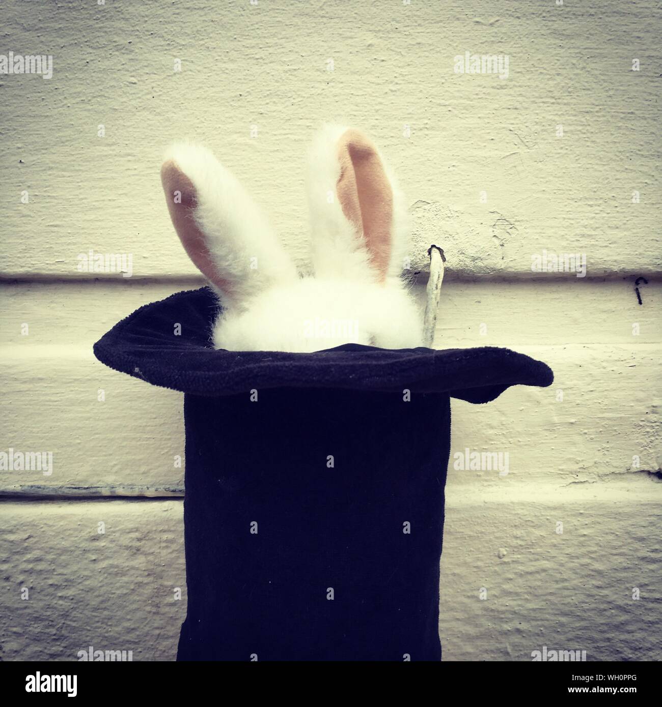 Rabbit Top Hat High Resolution Stock Photography and Images - Alamy
