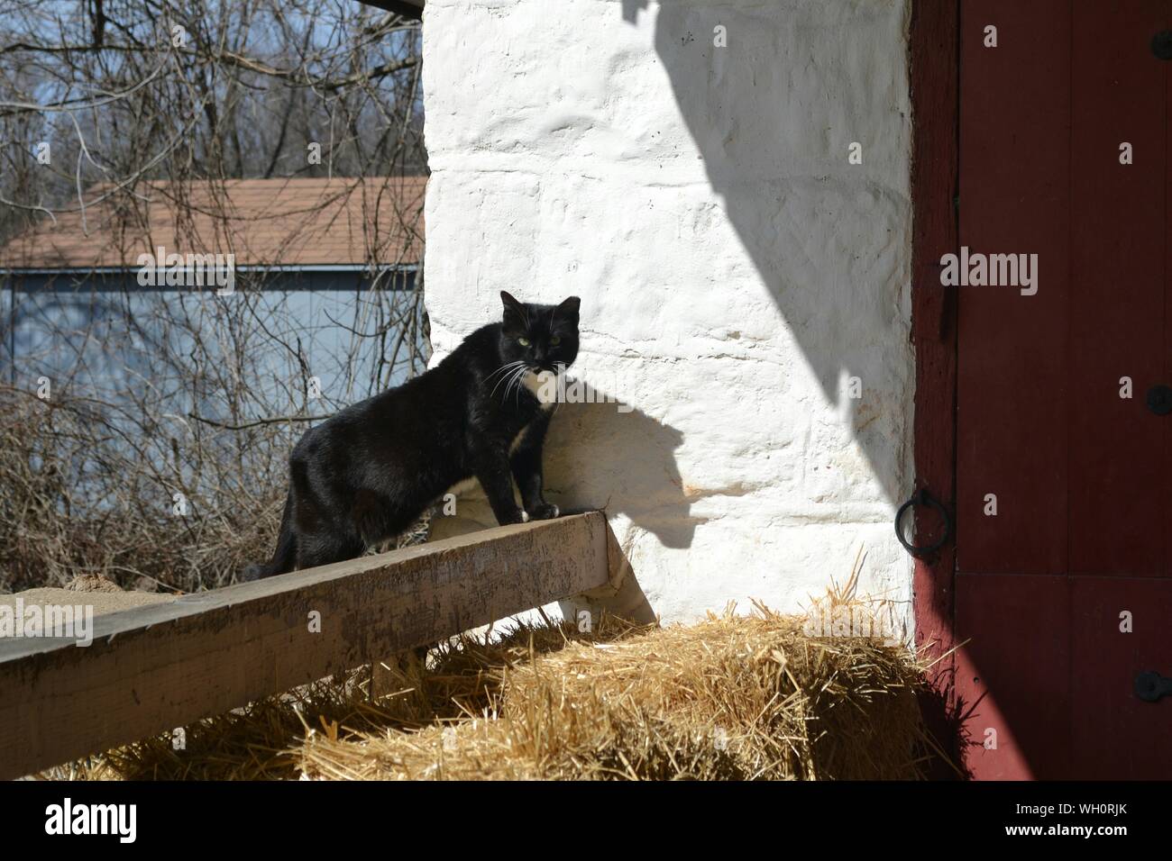 Girder for hi-res stock photography and images - Alamy