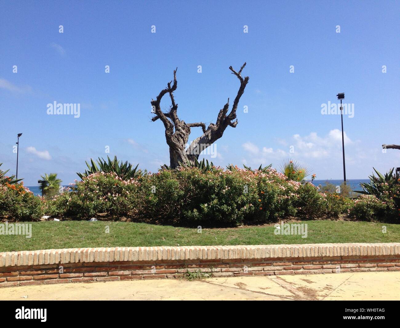Tree is green hi-res stock photography and images - Alamy