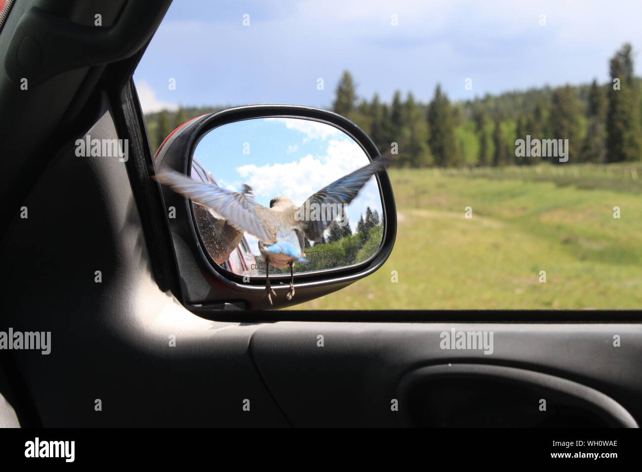 Flying car hi-res stock photography and images - Alamy