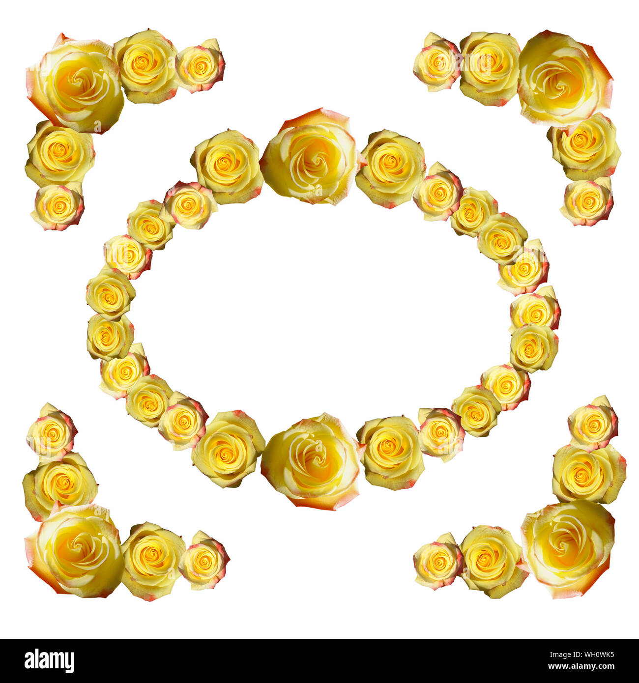 Yellow roses frame on the white background Stock Photo - Alamy
