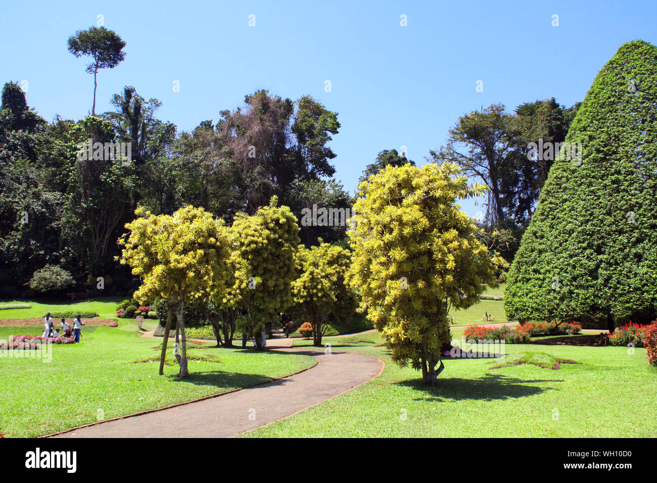 Royal Botanical garden Peradeniya, Kandy, Sri Lanka Stock Photo - Alamy