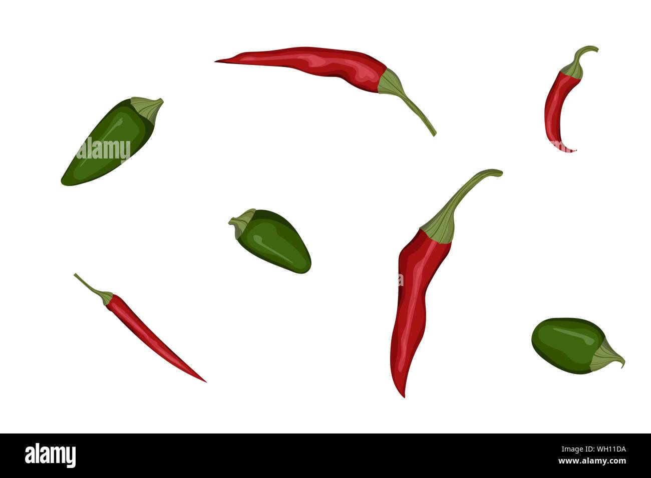 Green jalapeno and red hot chillies. Vector illustration. Spicy ...