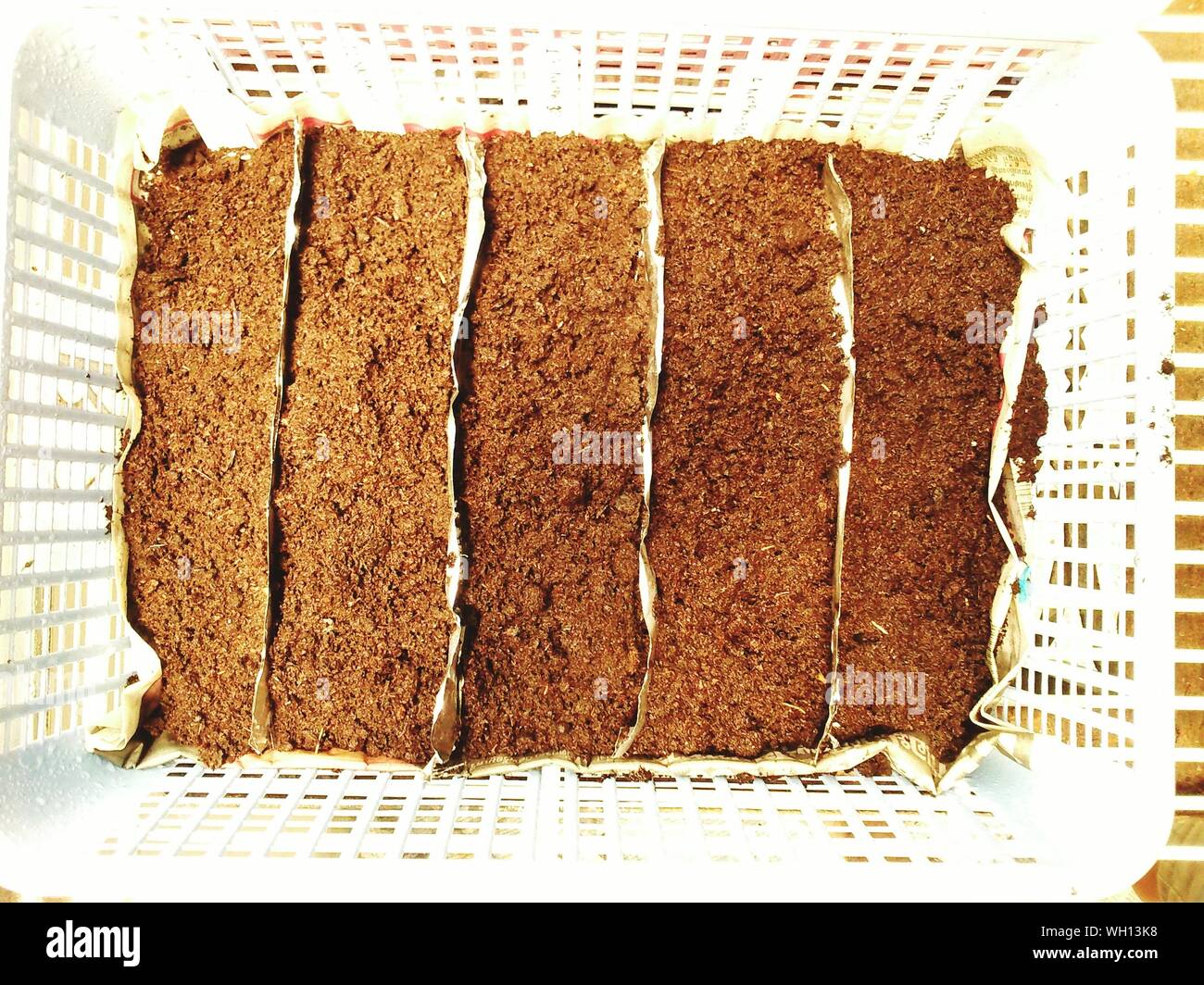 Moss soil hi-res stock photography and images - Alamy