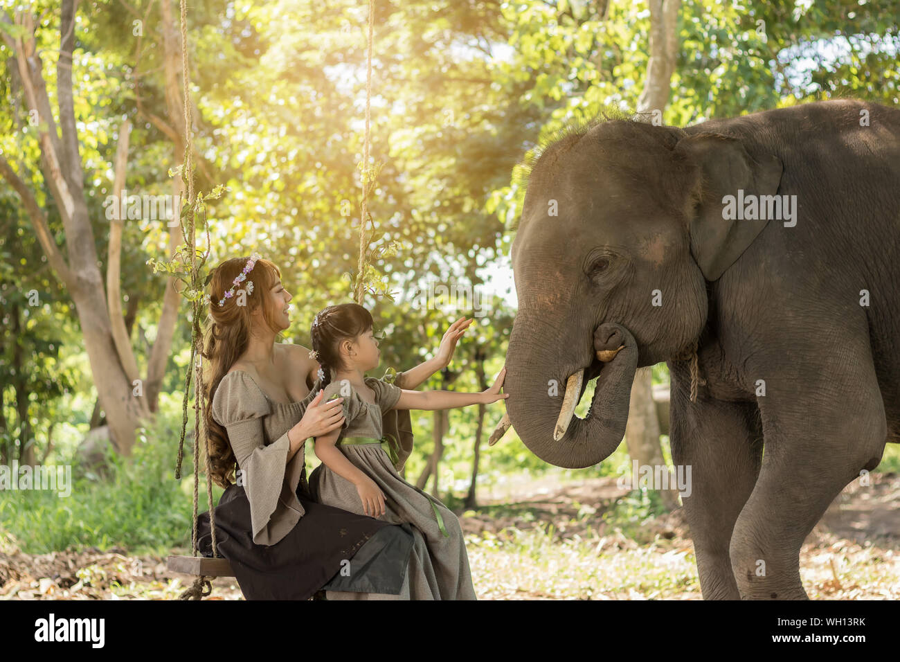 Touching an elephant hi-res stock photography and images - Alamy