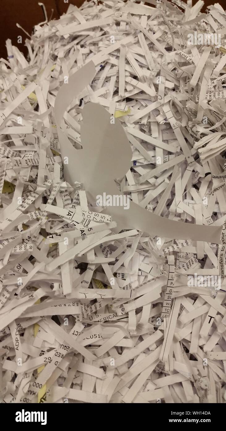 Paper destruction hi-res stock photography and images - Alamy