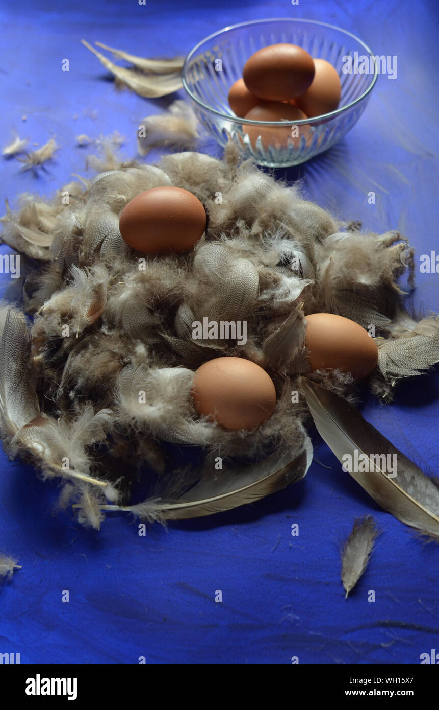 Chicken still life hi-res stock photography and images - Alamy