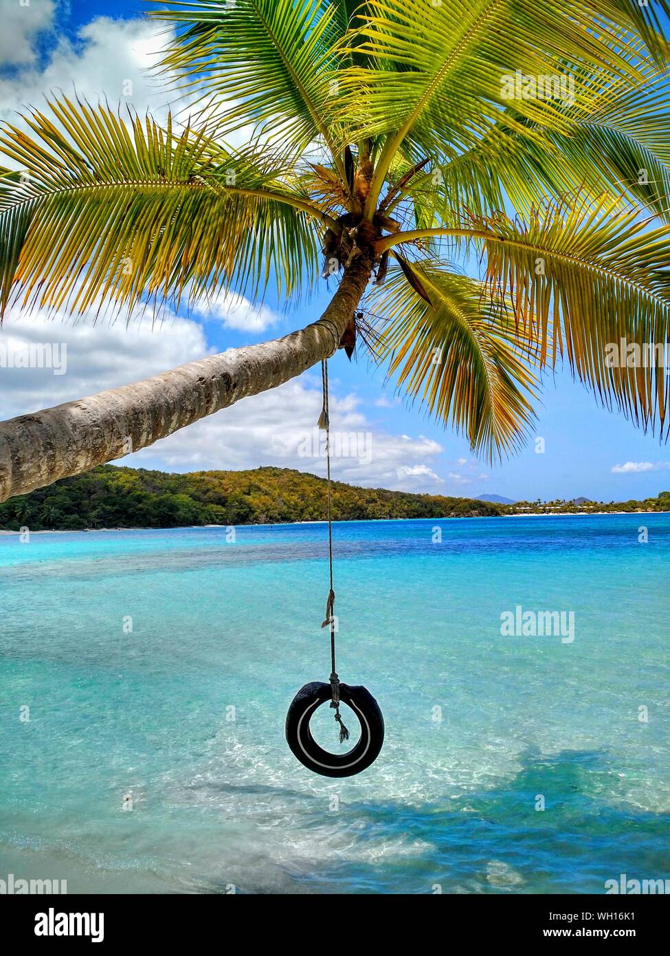 Coconut swing hi-res stock photography and images - Alamy