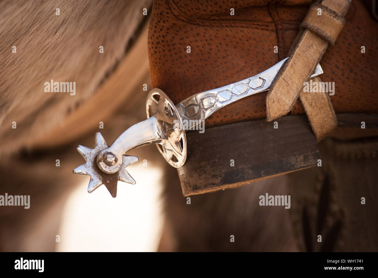 Horse spur hi-res stock photography and images - Alamy