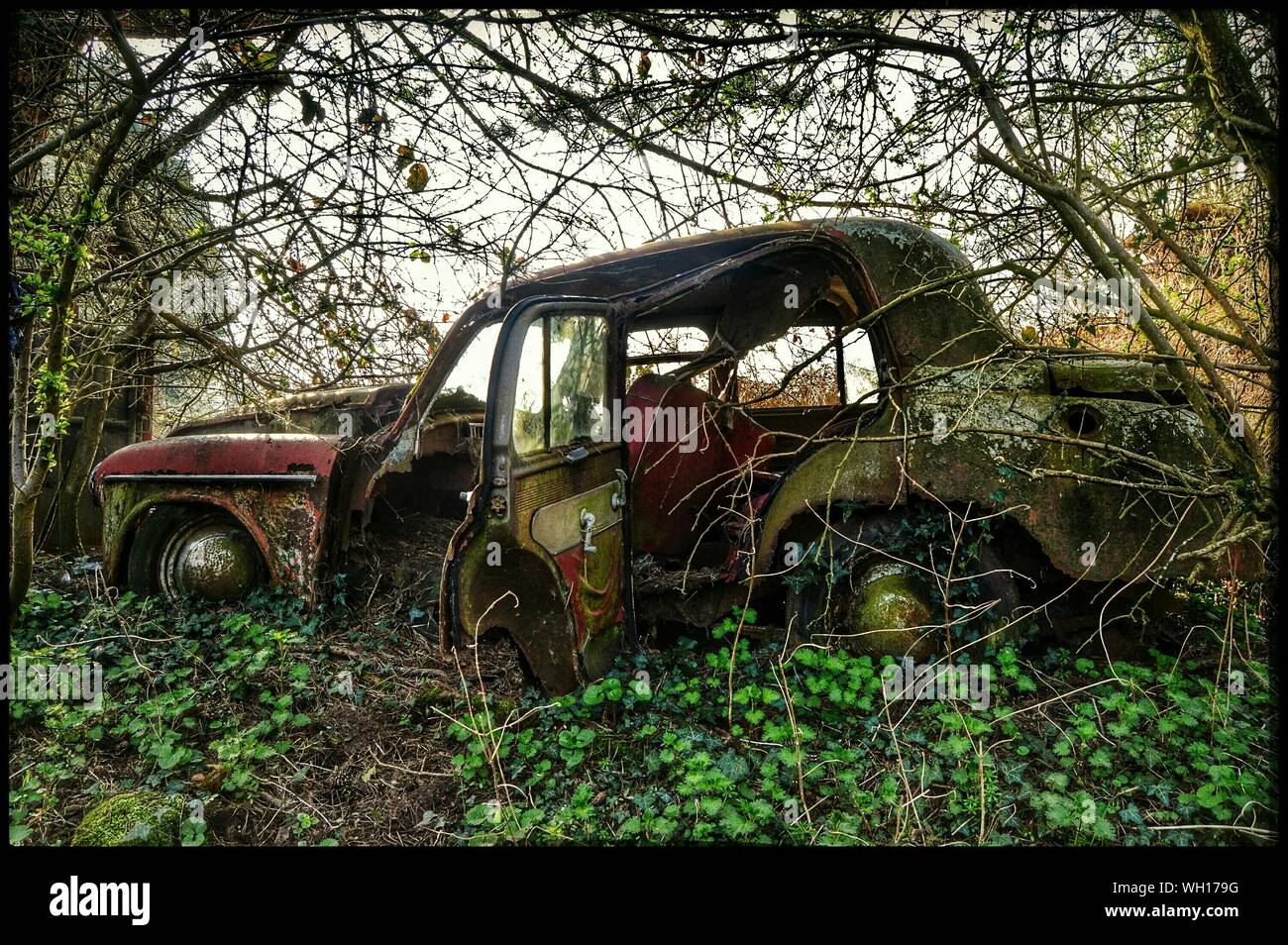 Crashed car tree hi-res stock photography and images - Alamy