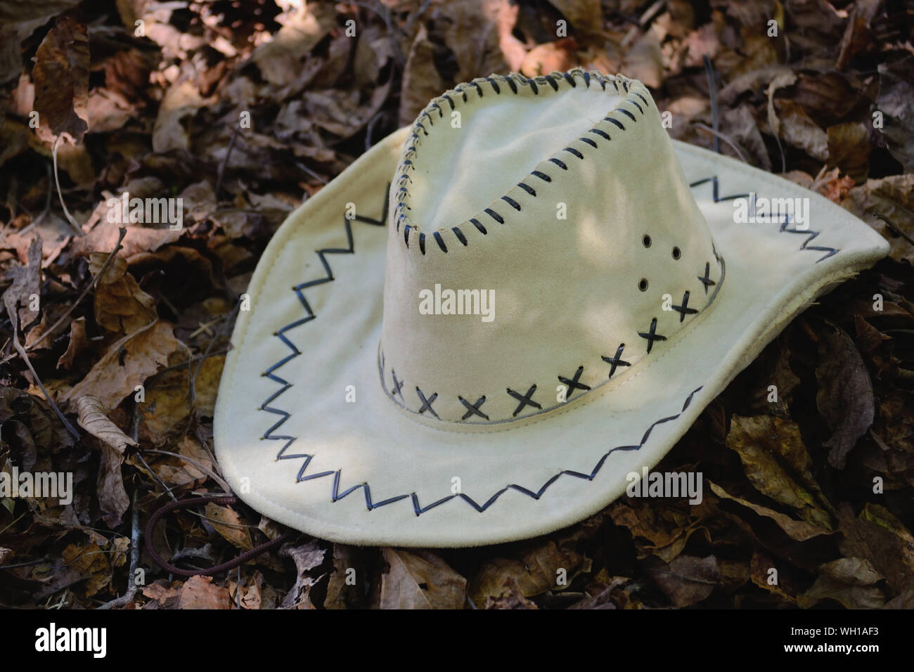 Country (cowboy) hat on the ground (a fallen leaves Stock Photo - Alamy