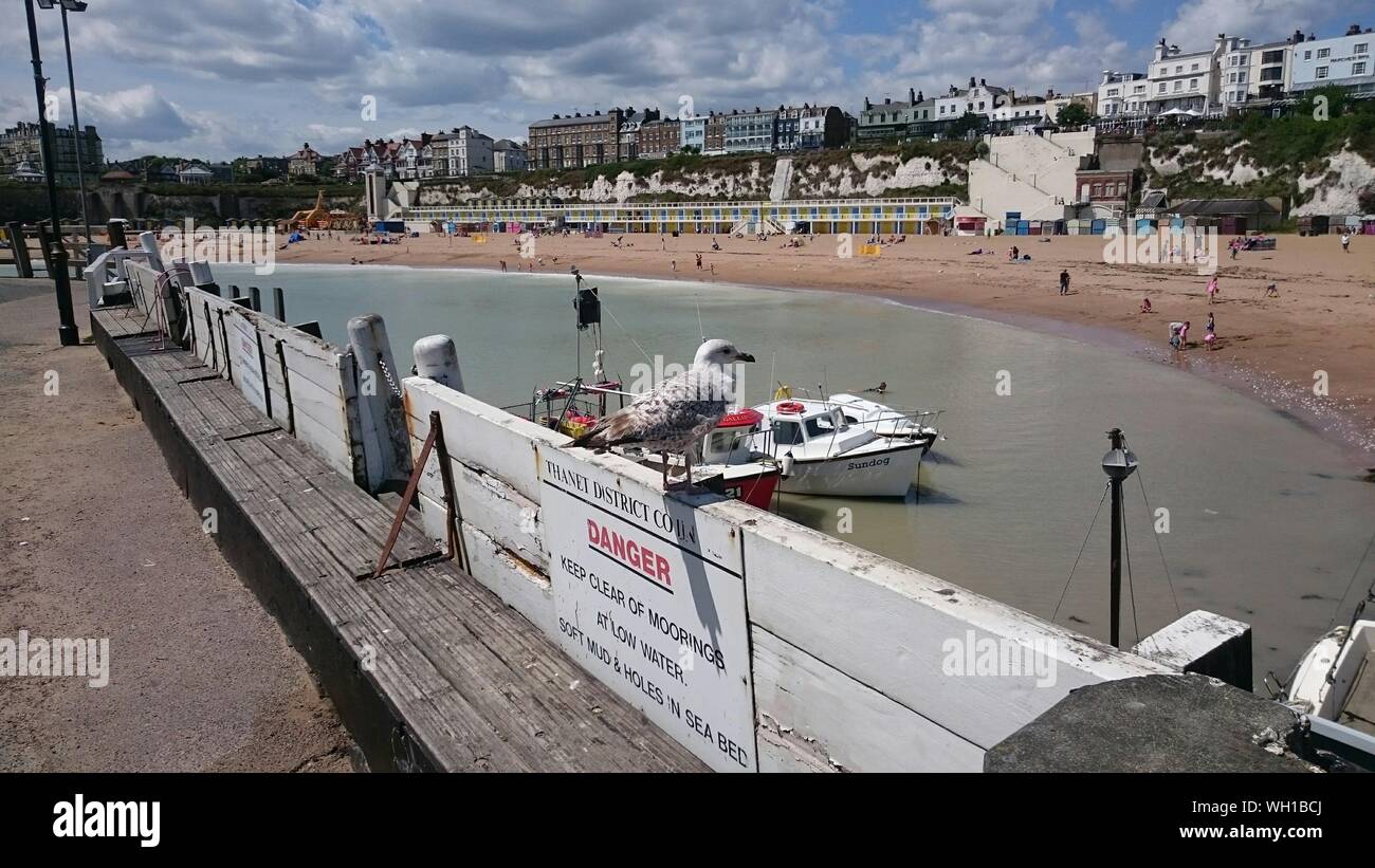Seagull warning hi-res stock photography and images - Alamy