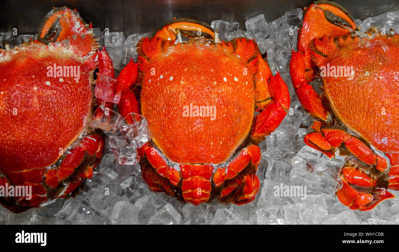 Red crabs hi-res stock photography and images - Alamy