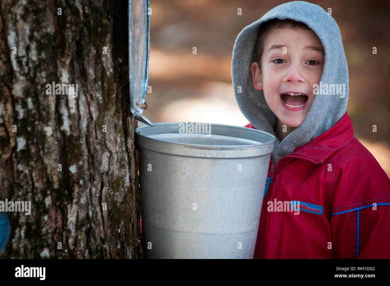 Boy hanging in tree hi-res stock photography and images - Alamy