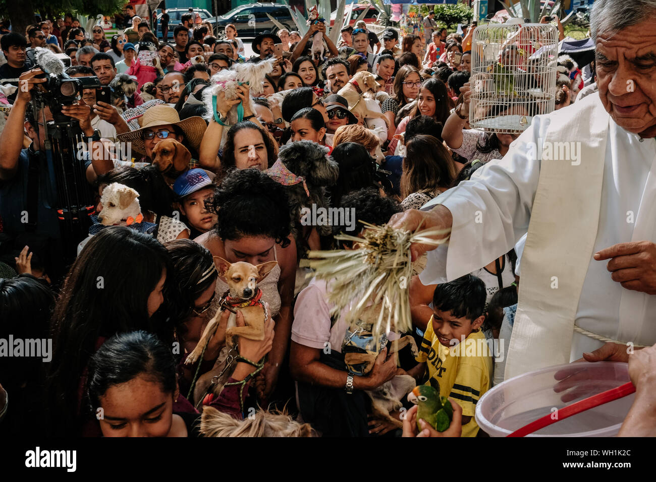 San ramon nonato hi-res stock photography and images - Alamy