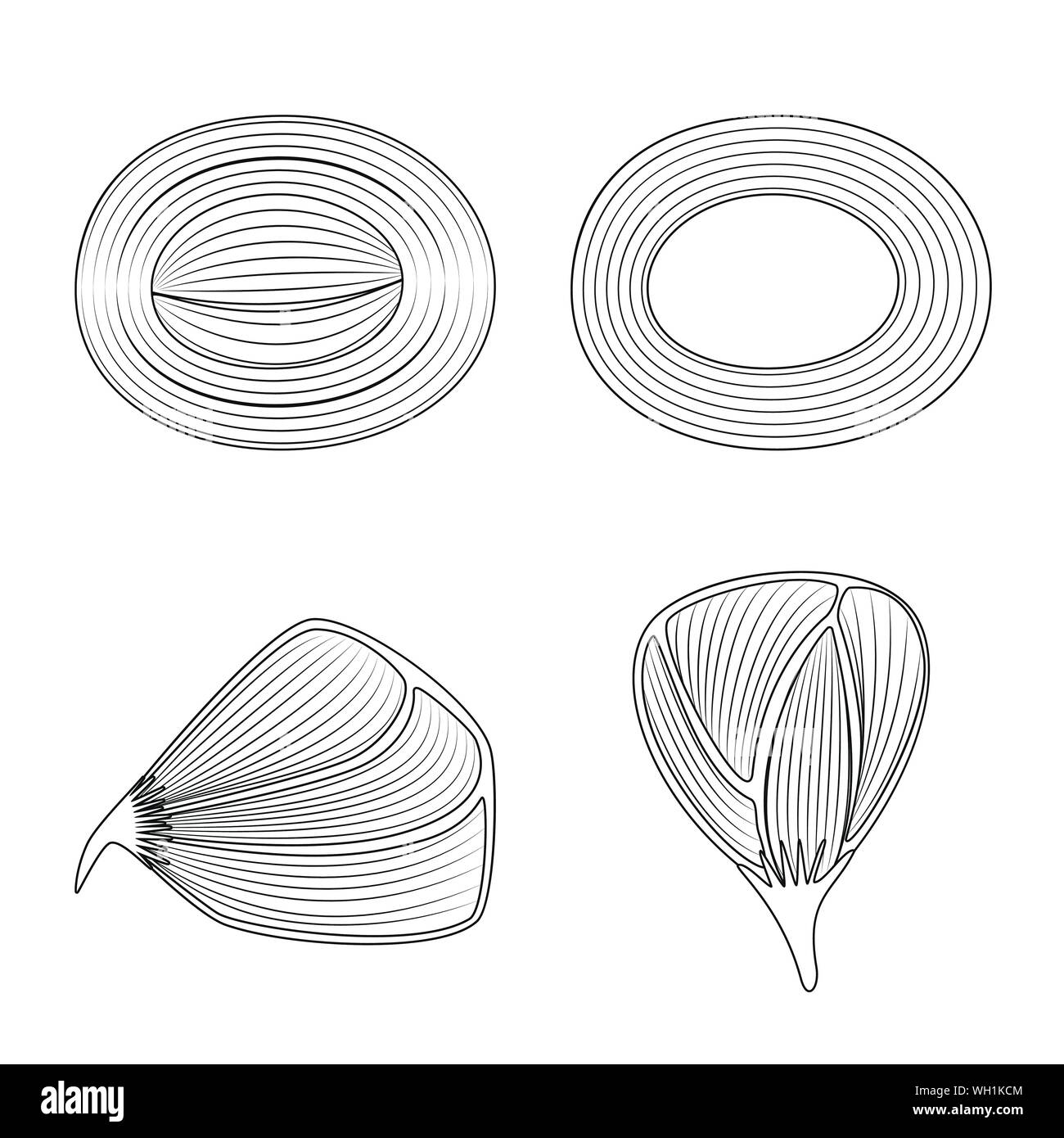 Isolated object of fiber and muscular symbol. Set of fiber and body ...