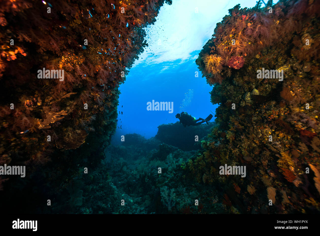 Suba diver hi-res stock photography and images - Alamy