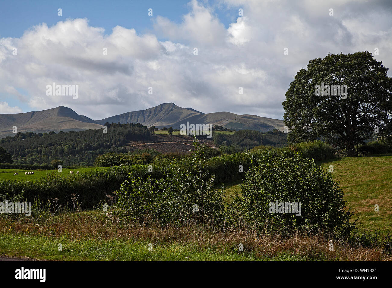 Highest peak in south wales hi-res stock photography and images - Alamy