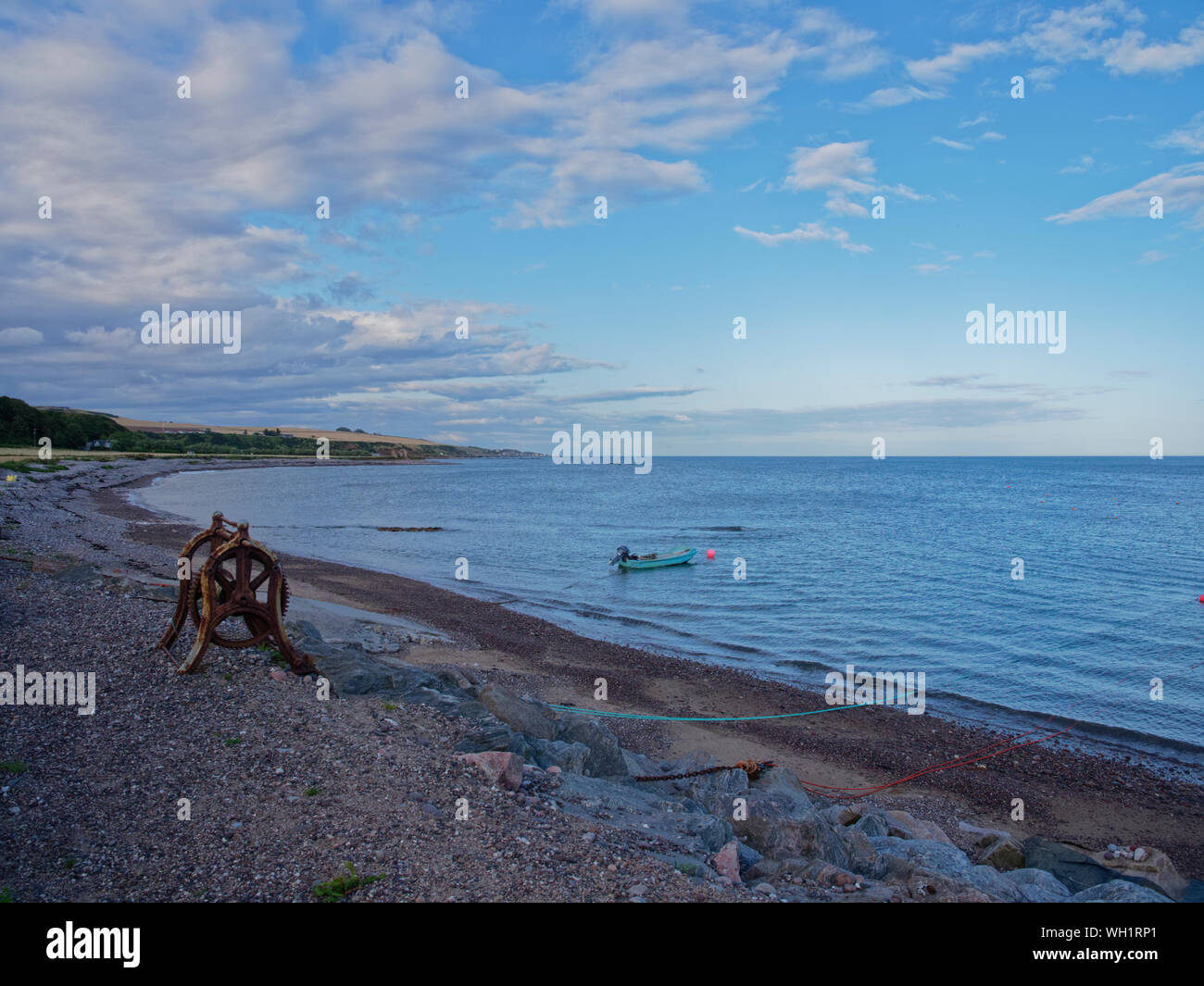 Tangle ha hi-res stock photography and images - Alamy