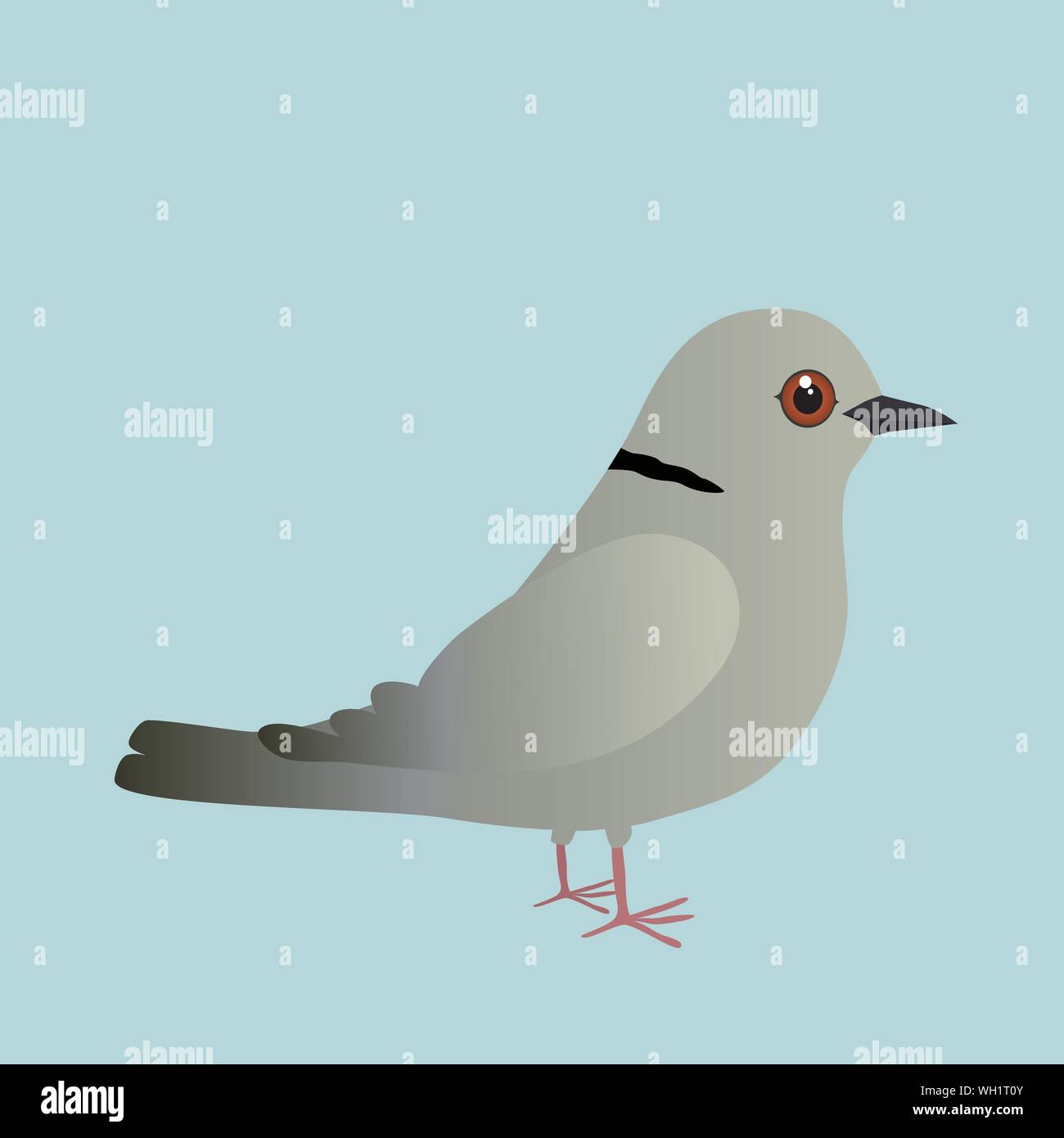 Collared animal Stock Vector Images - Alamy