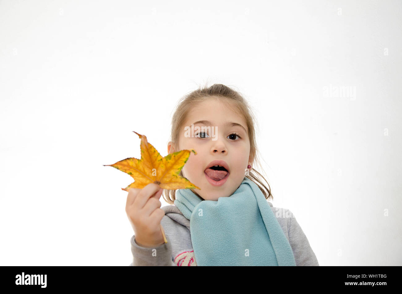 One dry leaf hi-res stock photography and images - Alamy