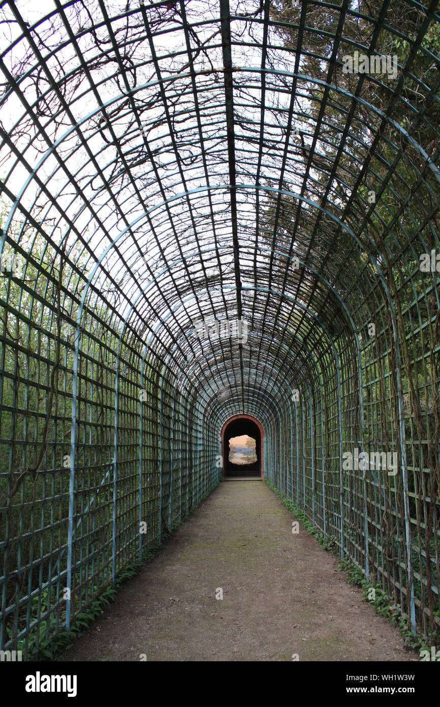 Tree covered walkway hi-res stock photography and images - Alamy