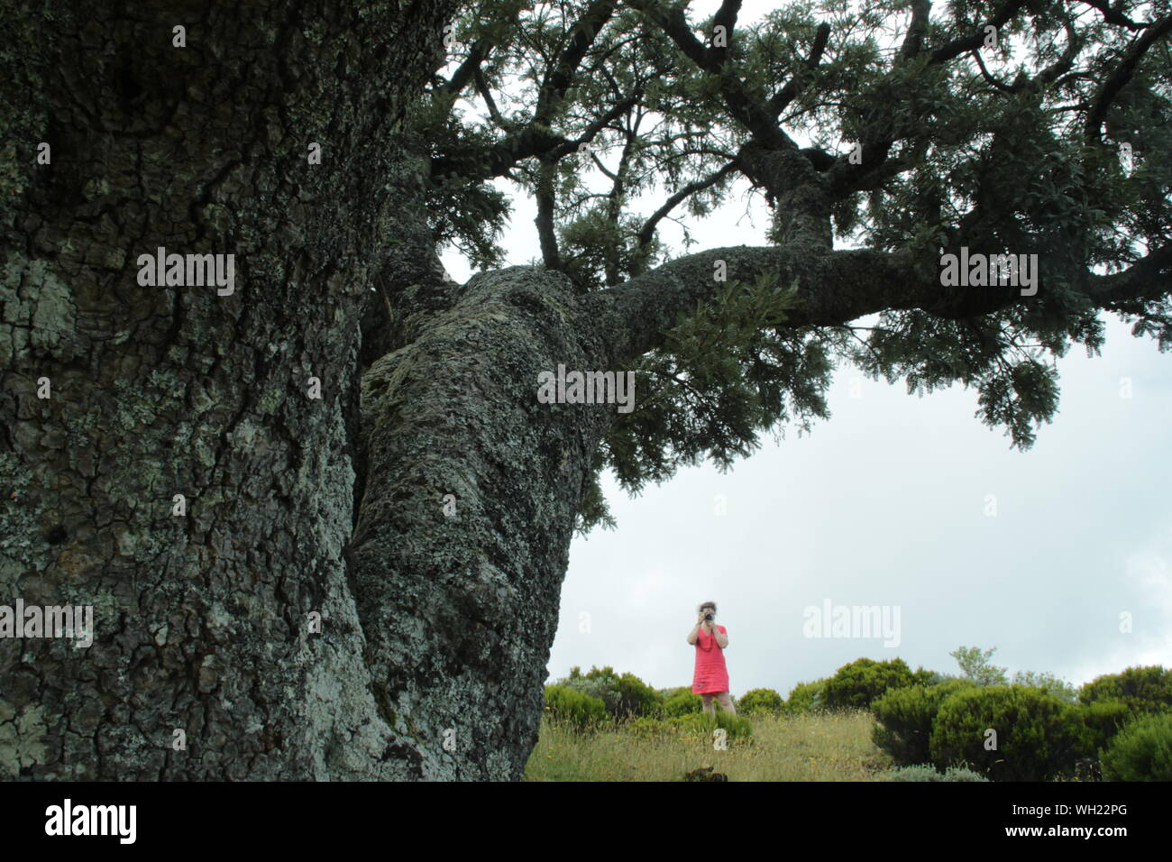 Standing female landscape hi-res stock photography and images - Alamy