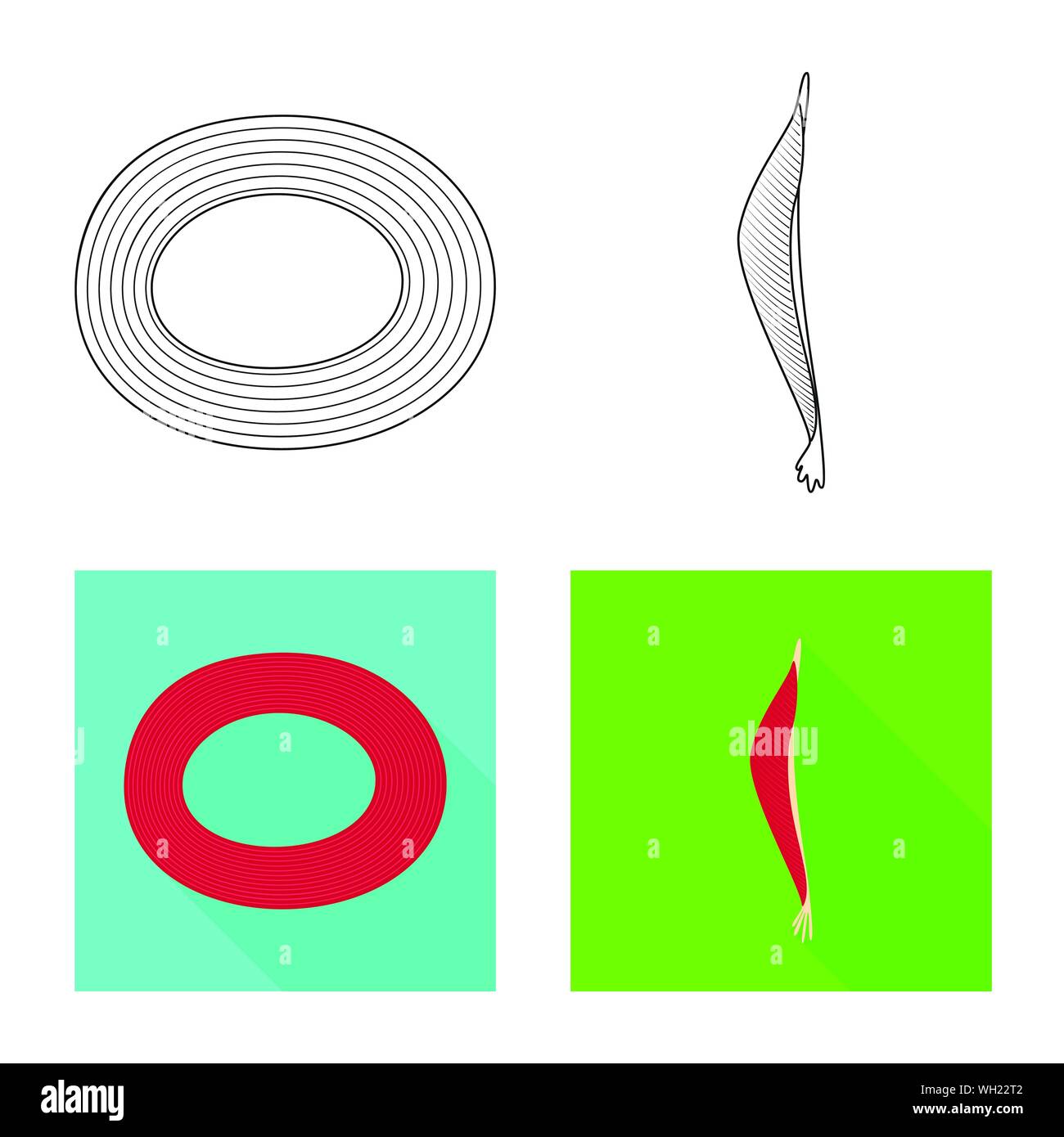 Vector design of fiber and muscular symbol. Set of fiber and body stock ...