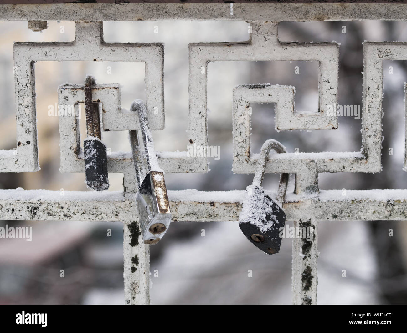 Frozen Gate High Resolution Stock Photography and Images - Alamy